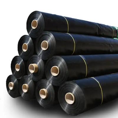 China Geomembrana de HDPE lisa para barragens de rejeitos Dupla superfície lisa ASTM GRI-GM13 Standard à venda