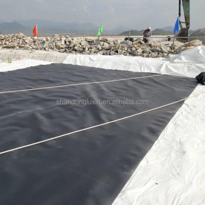 China Polypropyleen Liner HDPE Geomembrane voor vis garnalen boerderij vijver waterdicht kunststof Te koop
