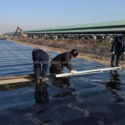 China Polypropyleen Liner HDPE Geomembrane voor vis garnalen boerderij vijver waterdicht kunststof Te koop