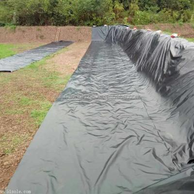 China Polypropyleen Liner HDPE Geomembrane voor vis garnalen boerderij vijver waterdicht kunststof Te koop
