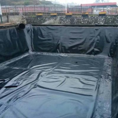 China 0.3 mm 0,5 mm HDPE-geomembranen voor aquacultuur Duurzaam en milieuvriendelijk materiaal Te koop