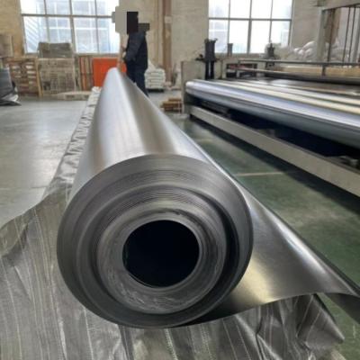 Cina Moderno design Geomembrane lisce prefabbricate in HDPE per stagni di pesce 0,5 mm 1 mm per serbatoi di stoccaggio dell'acqua in vendita