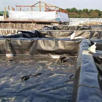 China 1 mm waterdicht HDPE stortplaats Geomembrane Liner 0,75 mm 1,5 mm Pond Liner Geomembranen Te koop