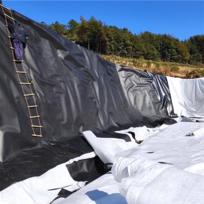 China 0.5 mm HDPE Zwarte Dam Liner Dubbel glad oppervlak voor wateropslagtanks 1 mm Dikte Te koop