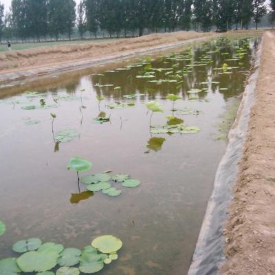 China 0Geomembrana pré-fabricada de espessura de.3 mm-2.8 mm para revestimento artificial de lago e lago de peixes à venda