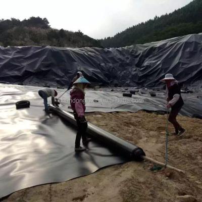 China Geomembrane op maat voor Kenia Fish Farm Shrimp Pond Liner in waterdicht materiaal Te koop