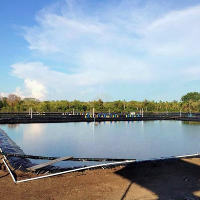 Cina Fogli di geomembrana in HDPE standard ASTM GRI-GM13 per stagno di acquacoltura di larghezza da 1m a 8m in vendita
