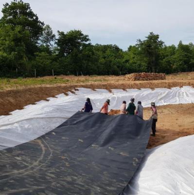 Cina Geomembrana in HDPE blu spessore da 0,2-3,0 mm per recinto di contenimento della diga bacino idrico miniere stagno di allevamento di gamberetti in vendita