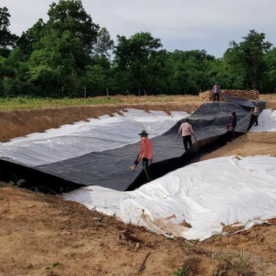 China EPDM EVA HDPE plasticscherm voor vijver voor vissen garnalen zwembad verbouwing vijverdam Te koop