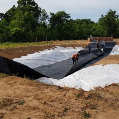 China EPDM EVA HDPE plasticscherm voor vijver voor vissen garnalen zwembad verbouwing vijverdam Te koop