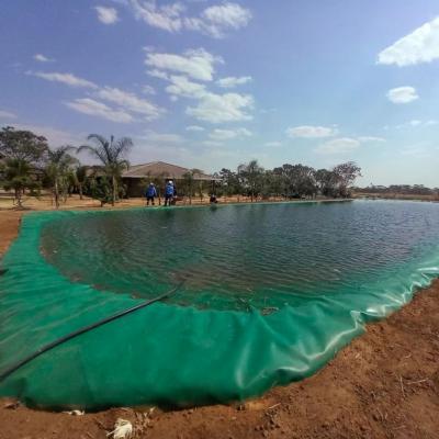 China EPDM EVA HDPE plasticscherm voor vijver voor vissen garnalen zwembad verbouwing vijverdam Te koop