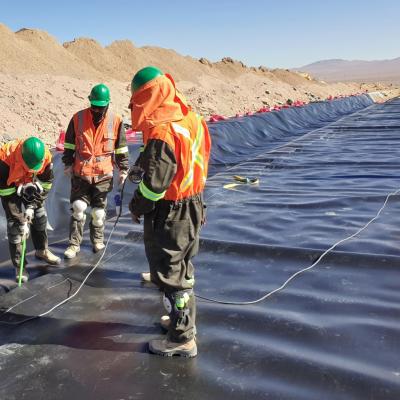 China ASTM GRI-GM13 Standard 1mm 2mm HDPE Geomembran Fischbecken Liner für die Fischzucht zu verkaufen