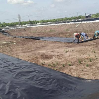 China ASTM GRI-GM13 Standard 1mm 2mm HDPE Geomembran Fischbecken Liner für die Fischzucht zu verkaufen