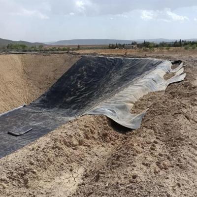 Китай 1m-8m Ширина HDPE Geomembrane Liner для рыбных ферм продается