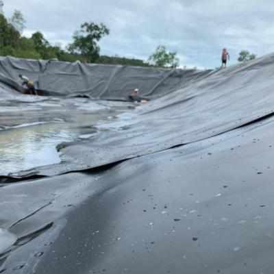 Cina Geomembrana idraulica in HDPE, resistente al rivestimento di stagni di pesci, membrana per la superficie delle piscine in vendita