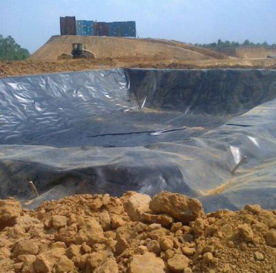 Cina Geomembrana idraulica in HDPE, resistente al rivestimento di stagni di pesci, membrana per la superficie delle piscine in vendita