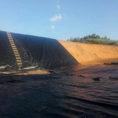 Cina Geomembrana idraulica in HDPE, resistente al rivestimento di stagni di pesci, membrana per la superficie delle piscine in vendita