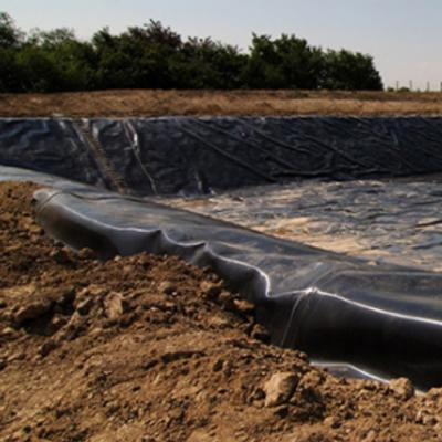 Cina Geomembrana idraulica in HDPE, resistente al rivestimento di stagni di pesci, membrana per la superficie delle piscine in vendita