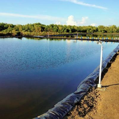 Китай Ультрафиолетовый HDPE водонепроницаемая геомембрана толщина 1 мм для плотины плотины на квадратный метр продается