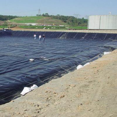 China Wasserdichtes, glattes Geomembran aus HDPE für Fischbecken-Liner im industriellen Design-Stil zu verkaufen