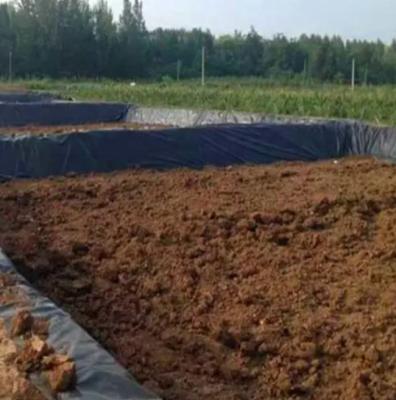 Cina Geomembrana HDPE a doppia consistenza 1 mm per rivestimento di diga in plastica impermeabile in vendita