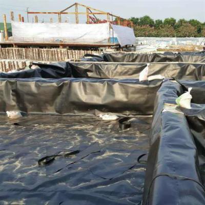 Cina 1m-8m Larghezza Geomembrana in HDPE a doppia consistenza per stagni di pesce e discariche Spessore 1mm in vendita
