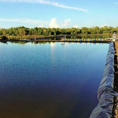 China HDPE Geomembrana Impermeável Pond Liner impermeável PE preto plástico Pond Liner papel de papel à venda