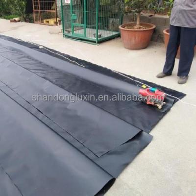 Cina Progettazione grafica Geomembrana liscia HDPE per stagno di pesce 1.5 mm 2 mm per discariche in vendita