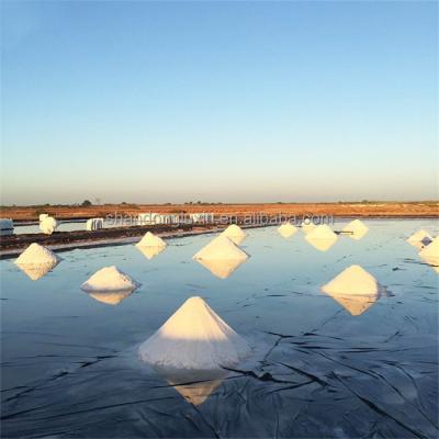 China Waterdicht HDPE vispoel Liner 30mil 60 mils Zwart Geomembrane voor wateropslagtanks Te koop