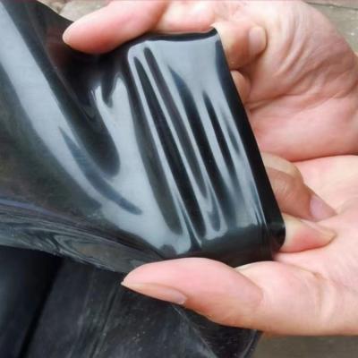 Cina 30 mil 60 mil HDPE Fish Pond Liner per l'acquacoltura Lunghezza 50-200m Venduto direttamente all'aperto in vendita