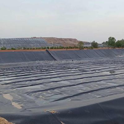 Cina 30 mil 60 mil HDPE Fish Pond Liner per l'acquacoltura Lunghezza 50-200m Venduto direttamente all'aperto in vendita