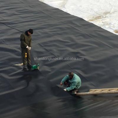 China Totale oplossing voor projecten Industrieel ontwerp stijl HDPE Geomembrane vishoudingstanks Te koop