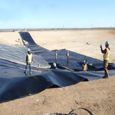 China Totale oplossing voor projecten Industrieel ontwerp stijl HDPE Geomembrane vishoudingstanks Te koop