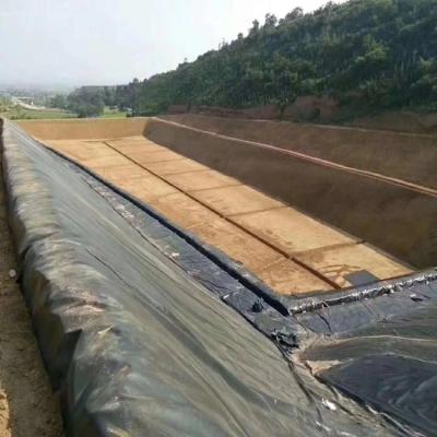 China 1.5mm glad zwart HDPE geomembraan voor buiten omgeving vis vijver Liner waterdicht Te koop