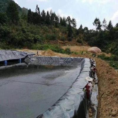China 1.5mm glad zwart HDPE geomembraan voor buiten omgeving vis vijver Liner waterdicht Te koop