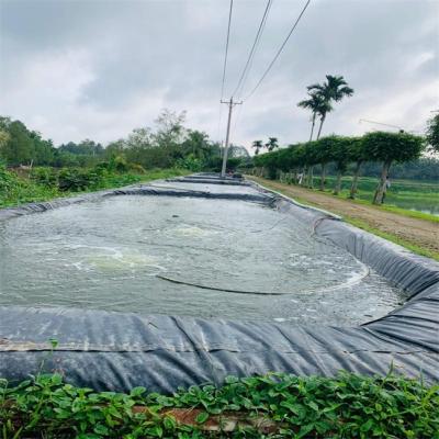 China Buiten HDPE-plaat plastic membraan voor waterreservoir en vissentank in zwarte kleur Te koop