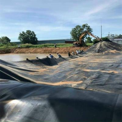 China Buiten HDPE-plaat plastic membraan voor waterreservoir en vissentank in zwarte kleur Te koop