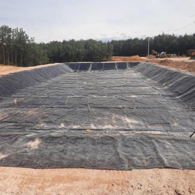 China Buiten HDPE-plaat plastic membraan voor waterreservoir en vissentank in zwarte kleur Te koop
