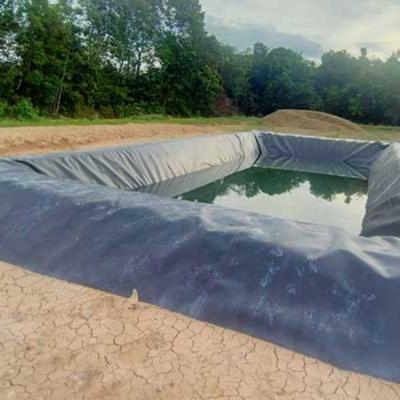 China Buiten HDPE-plaat plastic membraan voor waterreservoir en vissentank in zwarte kleur Te koop