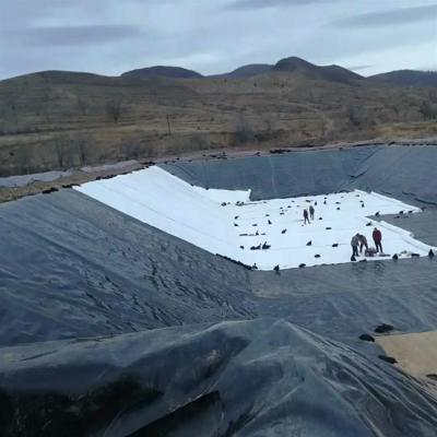 China HDPE-Glattgeomembran für die Aquakultur Fisch Teich Liner in 0,3 mm 0,5 mm 0,8 mm Dicke zu verkaufen