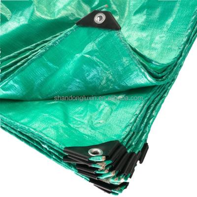Cina Tarpaolina di polietilene verde a prova di umidità e a blocco della luce solare Larghezza 2-11m in vendita