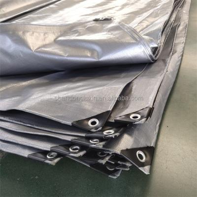 Cina Richiesta del cliente Colore Blu PE Tarpaulin Cover Sheet con impermeabilità e larghezza 2-12m in vendita