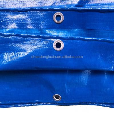 Cina Telaio impermeabile con occhiali resistenti 500D densità 6*6-16*16 in vendita