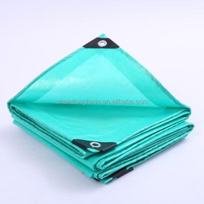 Cina Tenda di telai di polietilene in colore verde larghezza 2-11m per resistenza alla polvere e all'umidità in vendita