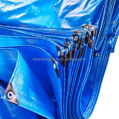Cina LX Tela di plastica pesante Tela impermeabile tessuto di polipropilene colore personalizzato in vendita