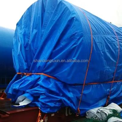 Cina Doppia impermeabile blu piana copertura PE telone per il deposito dei camion Disegno personalizzato in vendita
