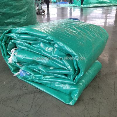 Cina Fogli di trapaniera in tessuto a strisce per esterno 200 gsm Trapaniera verde pesante per il Pakistan in vendita