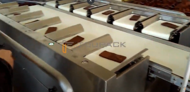 Detailed view of PLC 12 Head Intelligent Belt Scale components