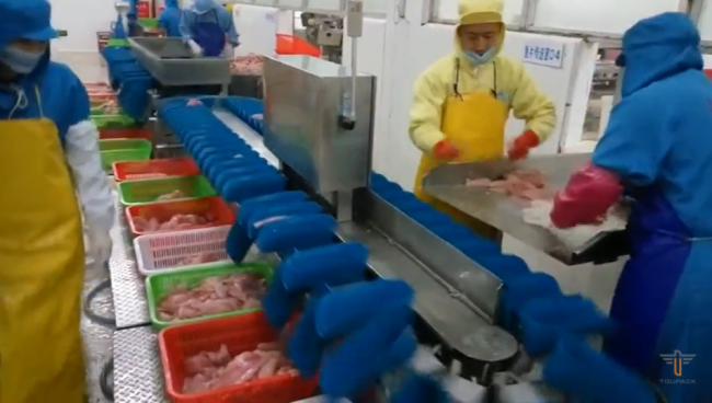 IP65 Circular Multi Weight Sorting Machine - Front View