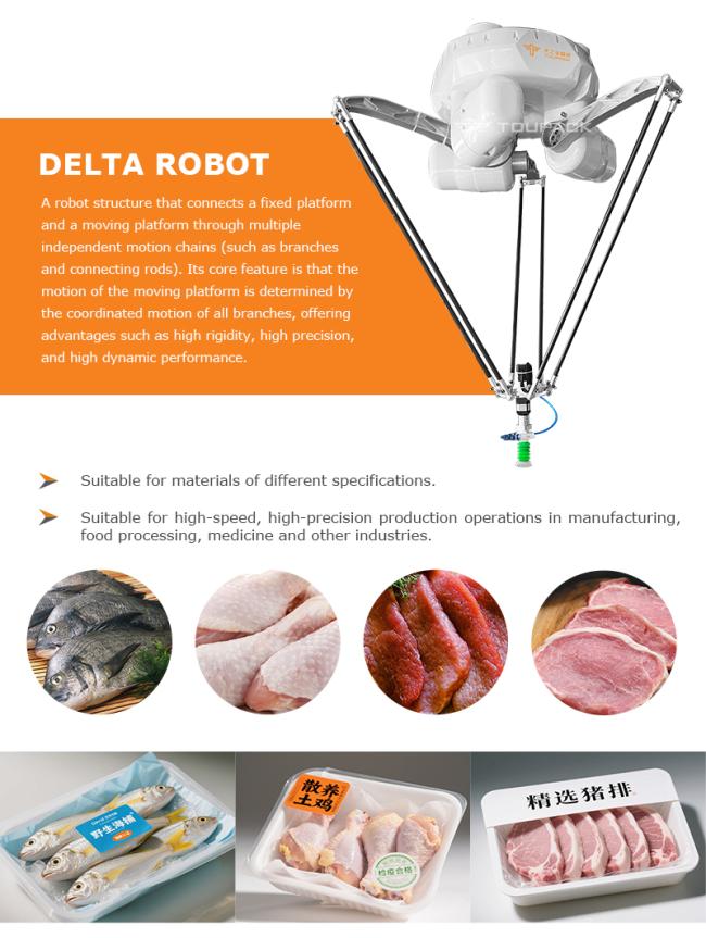 Meat Delta Robot Weighing System - Side View